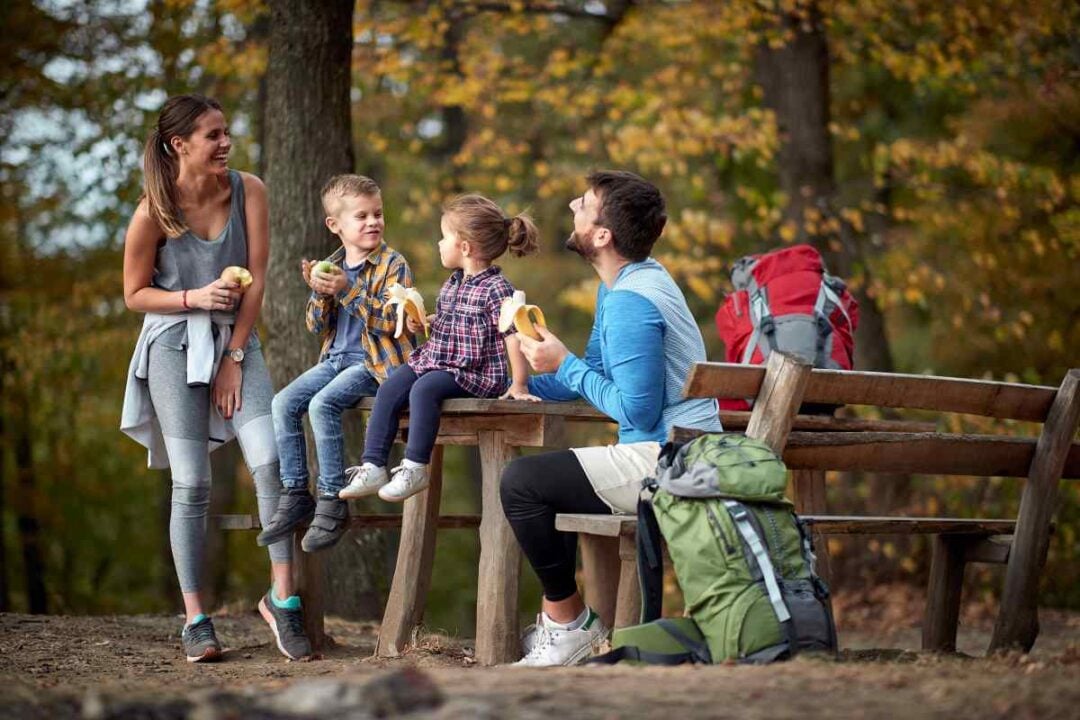 The Mammoth Cave National Park Camping Guide: All You Need for a Great ...