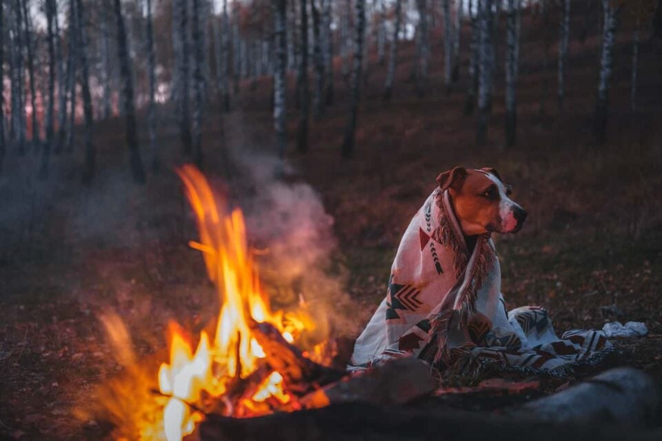 A Guide to Washington State Parks Camping - Beyond The Tent