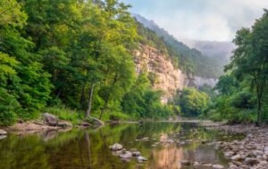 Ozark National Forest Camping: 10 Best Tips and More