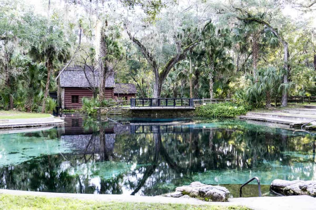 Ocala National Forest Camping: 6 Essential Tips and More - Beyond The Tent