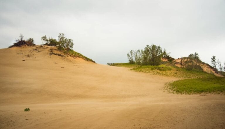 Warren Dunes State Park Camping Guide (Michigan) - Beyond The Tent
