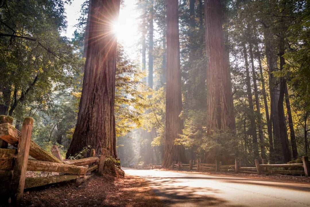 A Guide to California State Parks Camping - Beyond The Tent