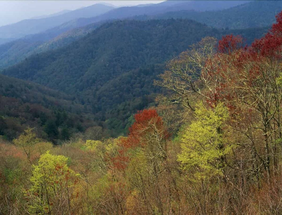 Cherokee National Forest Camping Guide - Beyond The Tent