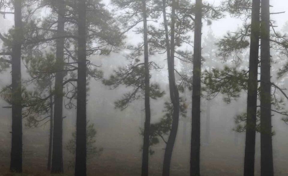 Cleveland National Forest Camping Guide - Beyond The Tent