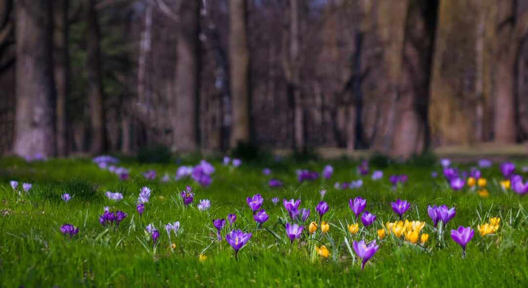 A Guide to Ohio State Parks Camping - Beyond The Tent