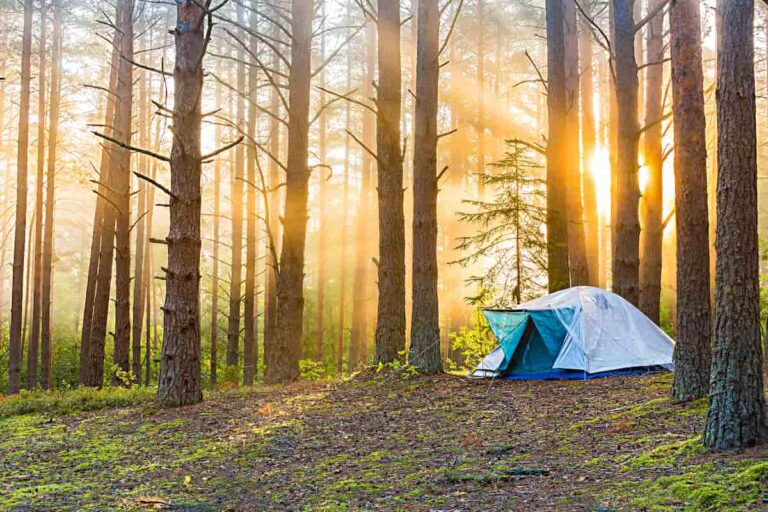 A Guide to Wisconsin State Parks Camping - Beyond The Tent