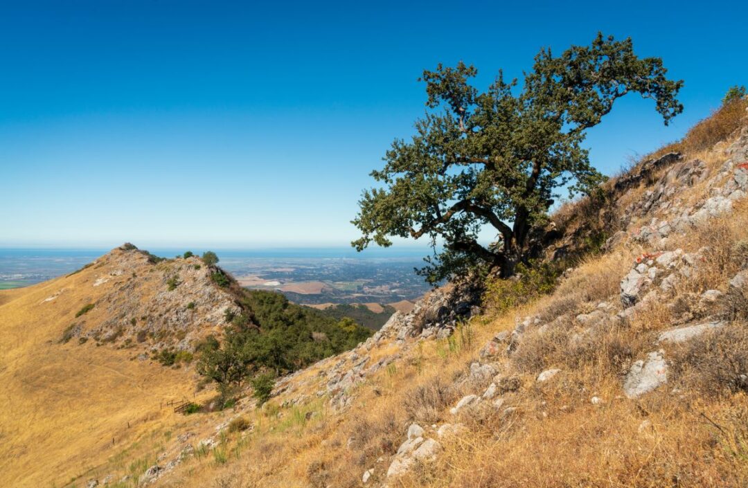 Fremont Peak State Park Camping Guide - Beyond The Tent