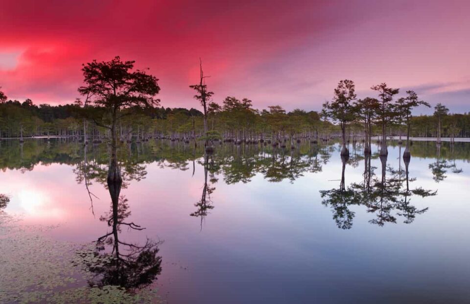 A Guide to Georgia State Parks Camping - Beyond The Tent