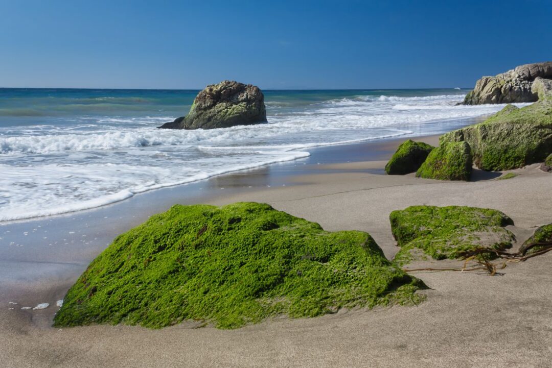Leo Carrillo State Park Camping Guide - Beyond The Tent