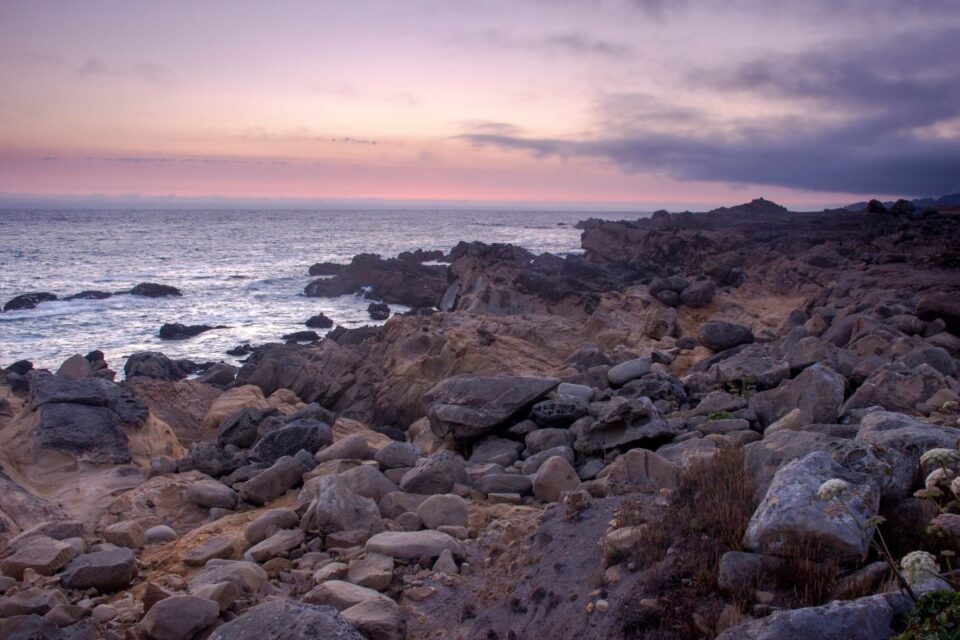 Salt Point State Park Camping Guide - Beyond The Tent