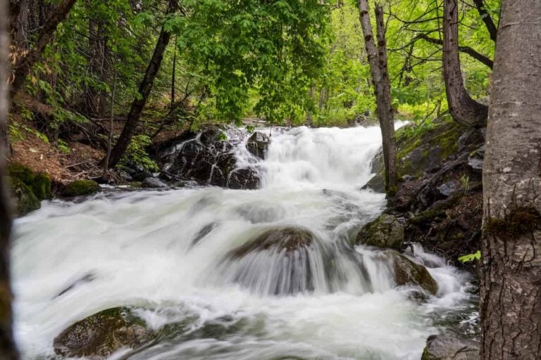 Tahoe National Forest Camping Guide - Beyond The Tent