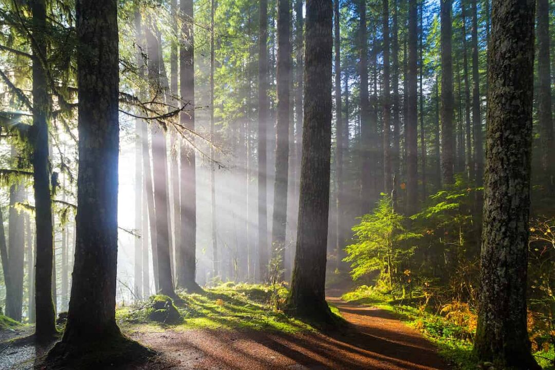 A Guide to the Best Camping in Washington