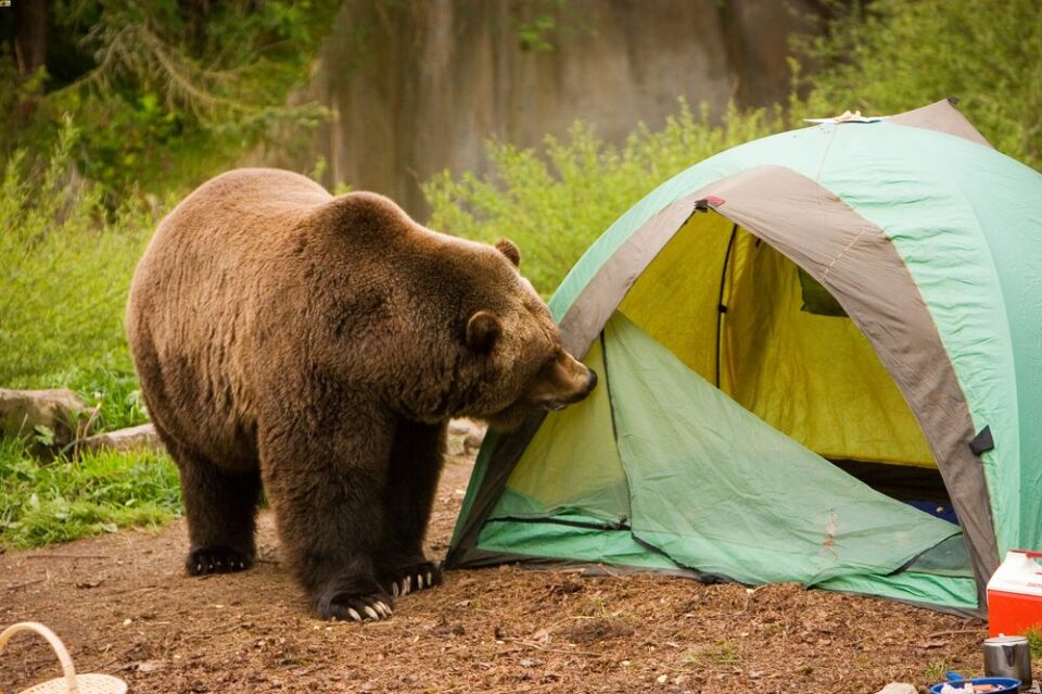 10 Camping Safety Tips for Staying Safe While Camping - Beyond The Tent