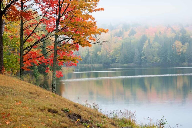 A Guide to Michigan State Parks Camping - Beyond The Tent