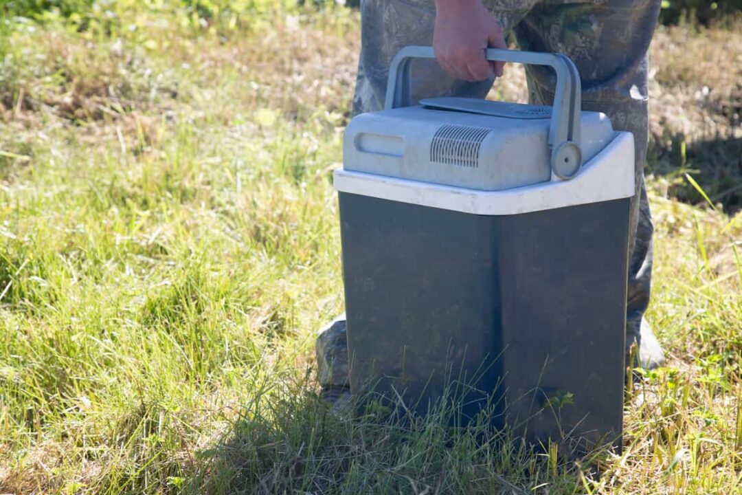 The Best Portable Freezer for Camping in 2024: Our top 5 Picks - Beyond ...