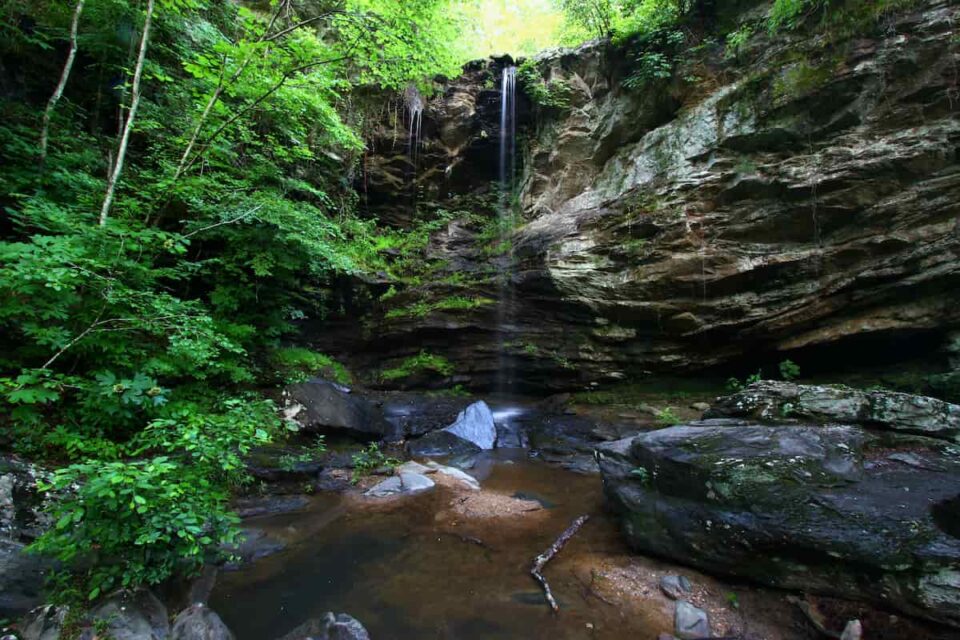 Talladega National Forest Camping Guide - Beyond The Tent