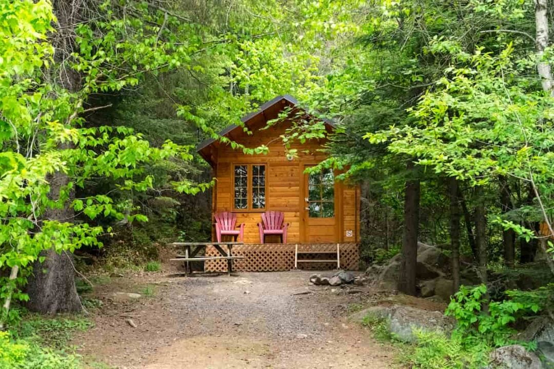 Cabin Camping 101: A Beginner's Guide to Your First Getaway - Beyond ...
