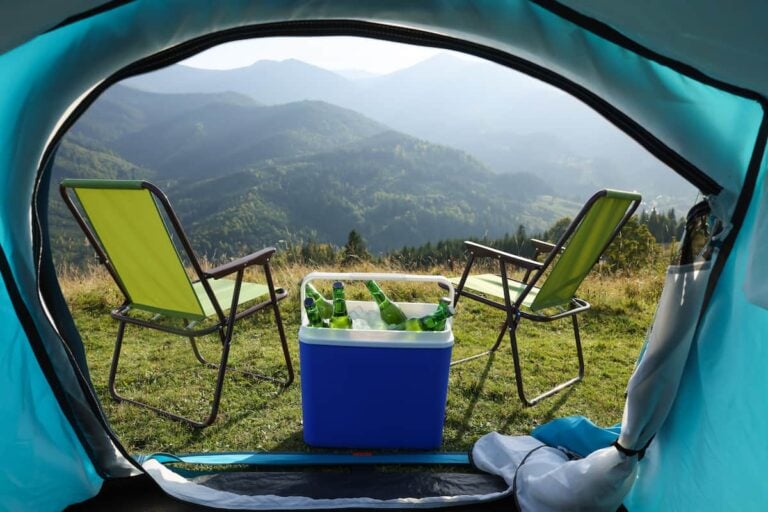 The Best Portable Freezer for Camping in 2024: Our top 5 Picks - Beyond ...