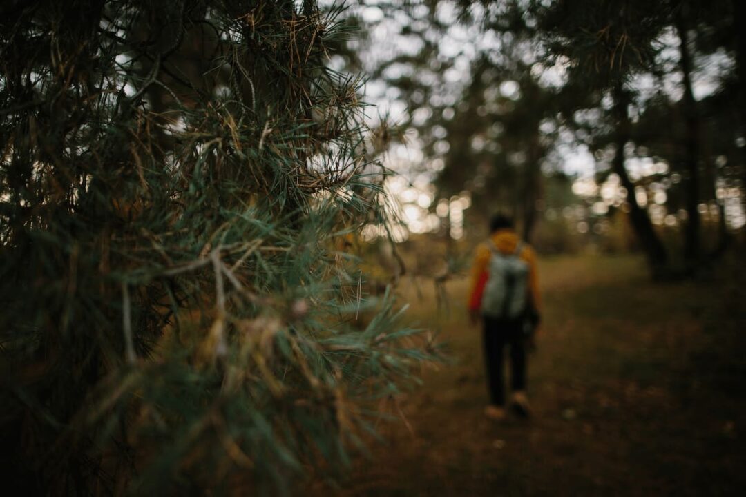 13 Wilderness Survival Skills Every Camper Should Know - Beyond The Tent