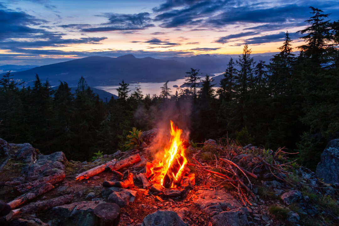 Fueling the Flames: Your Guide to the Best Campfire Wood - Beyond The Tent