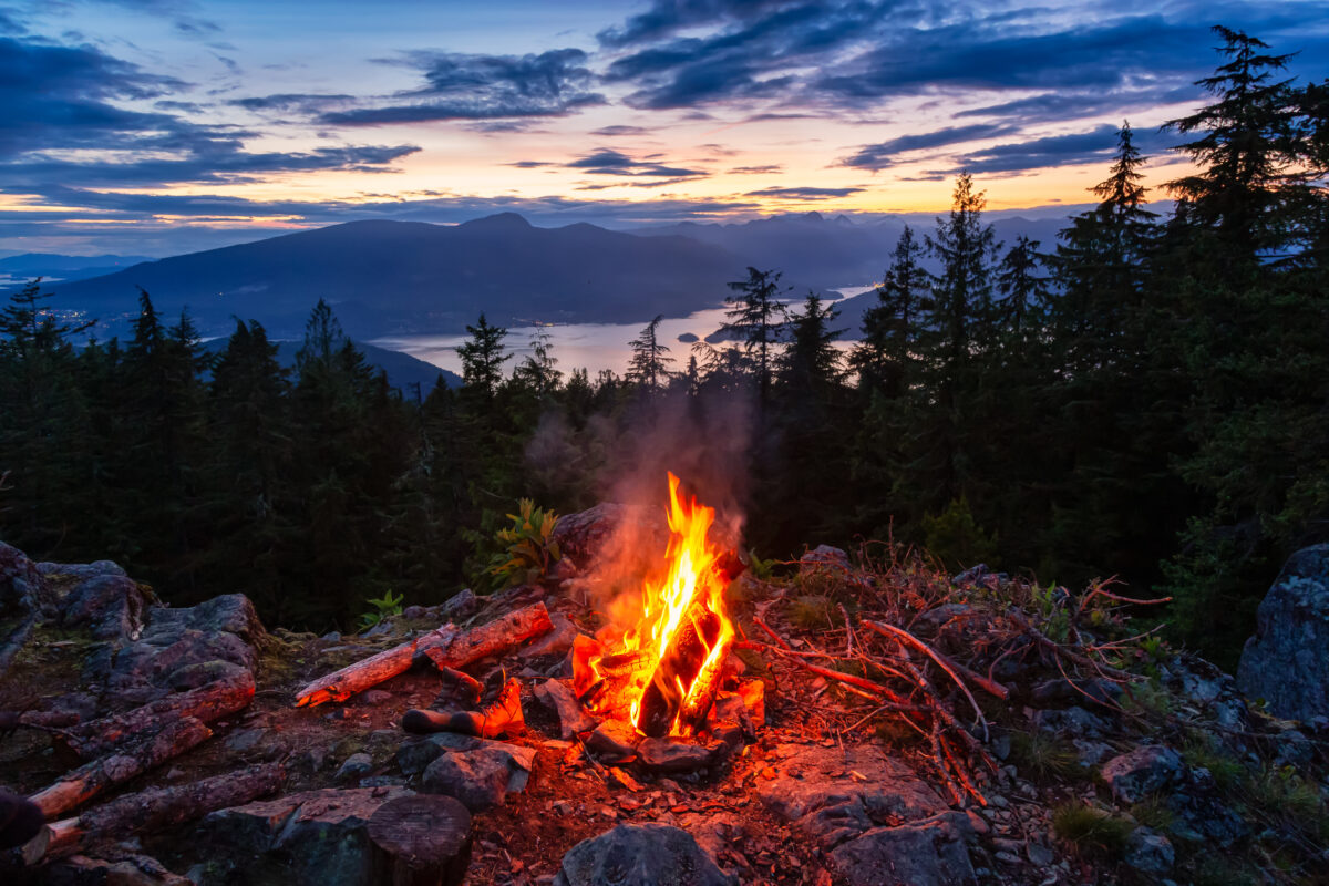 Fueling the Flames: Your Guide to the Best Campfire Wood - Beyond The Tent
