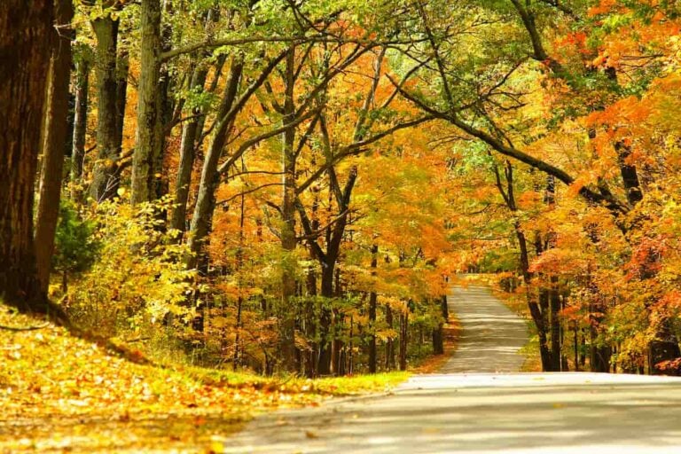 A Guide to Indiana State Parks Camping - Beyond The Tent