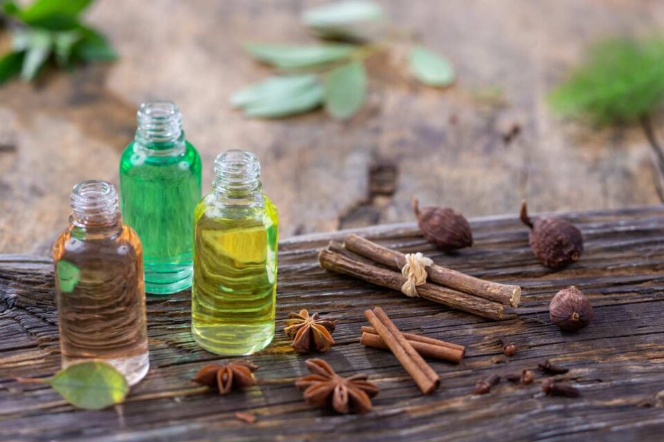 The Best Natural Mosquito Repellent: We Tried Them All! - Beyond The Tent