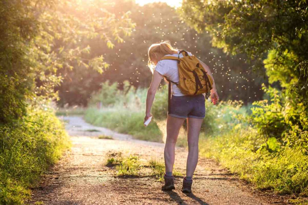 How Does Bug Spray Work? Unveiling the Science Behind Insect Repellents ...