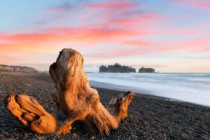 Beach Camping in Washington: 8 Amazing Beaches You Can Camp By - Beyond ...