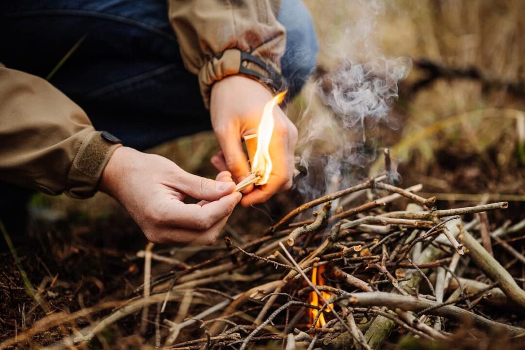 Fueling the Flames: Your Guide to the Best Campfire Wood - Beyond The Tent