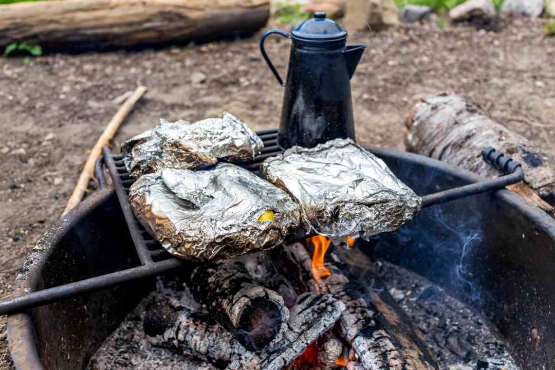 The 20 Best Campfire Recipes for Outdoor Lovers - Beyond The Tent