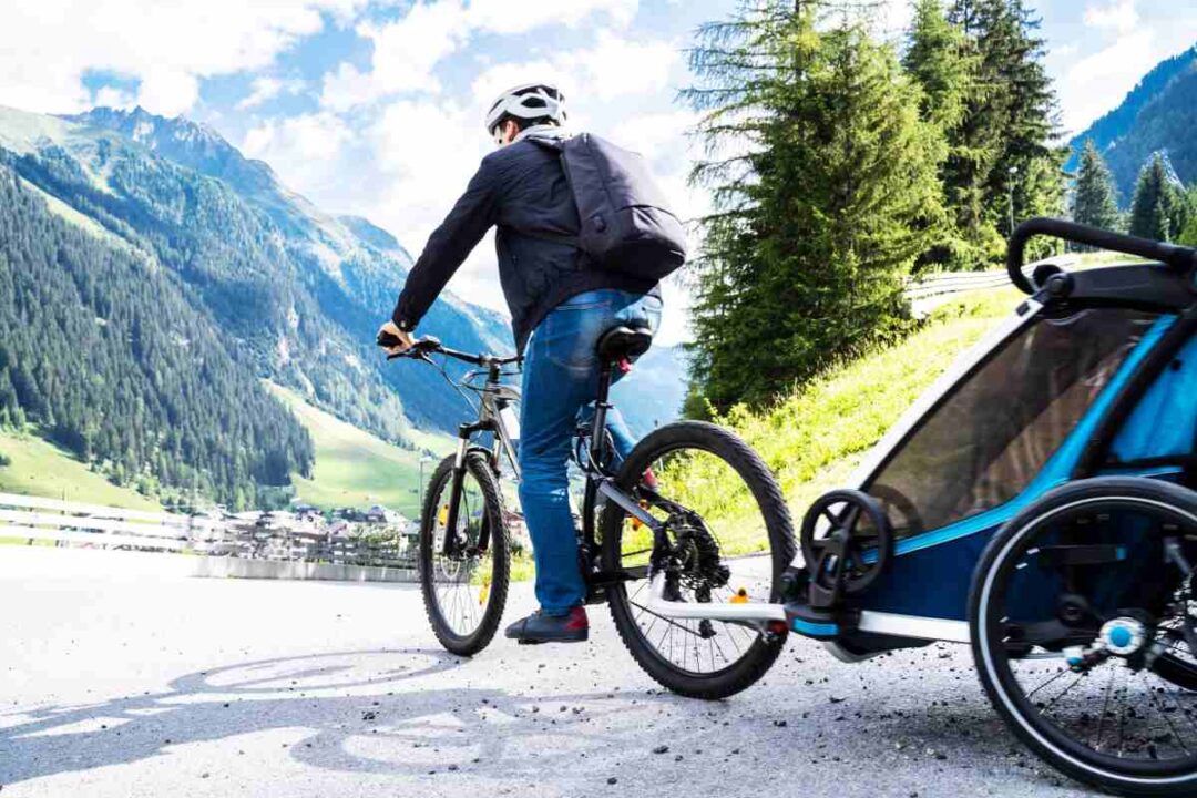 Travelling Light: The 5 Best Bicycle Trailers for Camping - Beyond The Tent