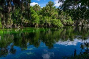 7 Hot Springs in Alabama You Need to See - Beyond The Tent