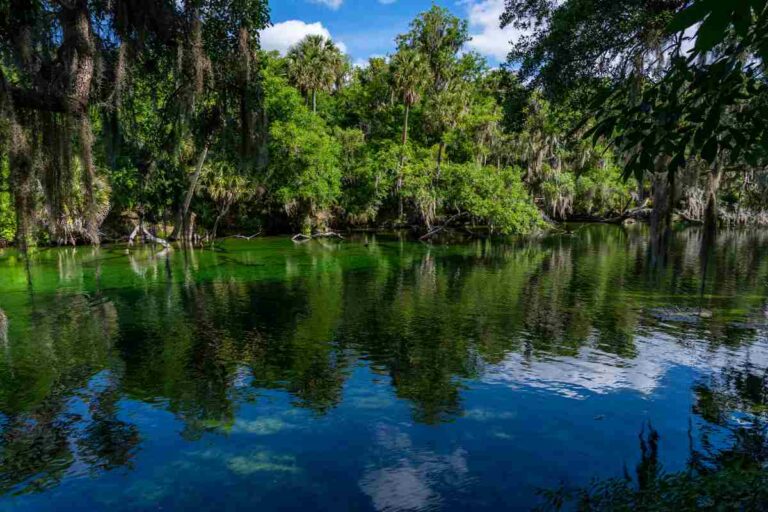 7 Hot Springs in Alabama You Need to See - Beyond The Tent