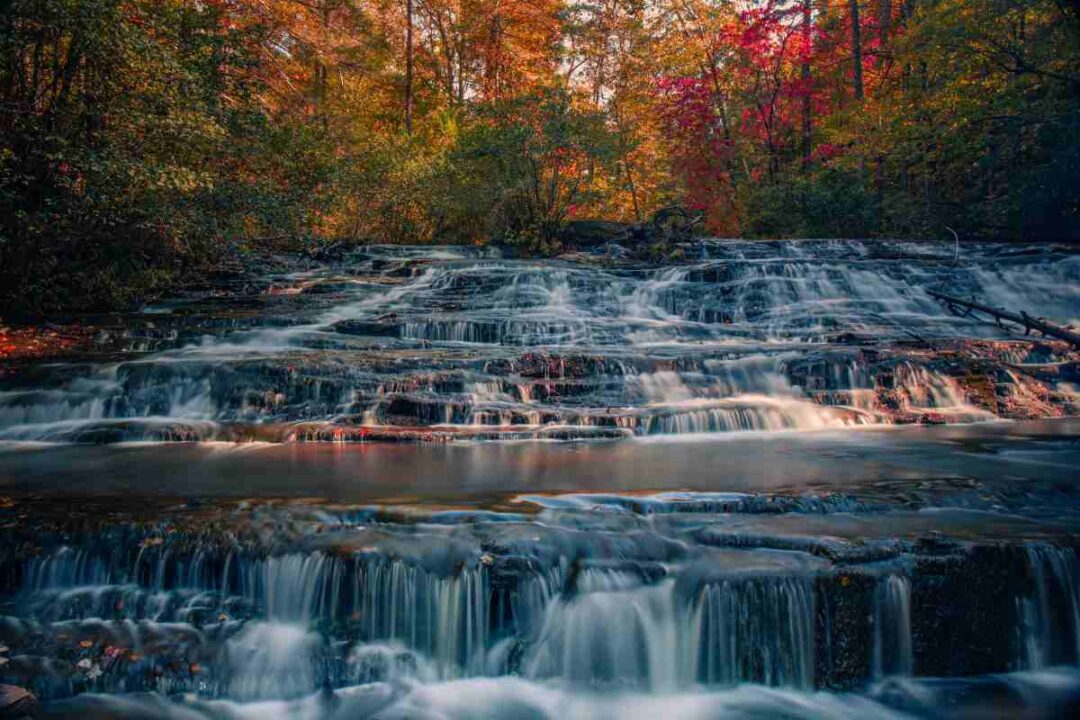 15 of the Best Trails for Hiking in South Carolina - Beyond The Tent