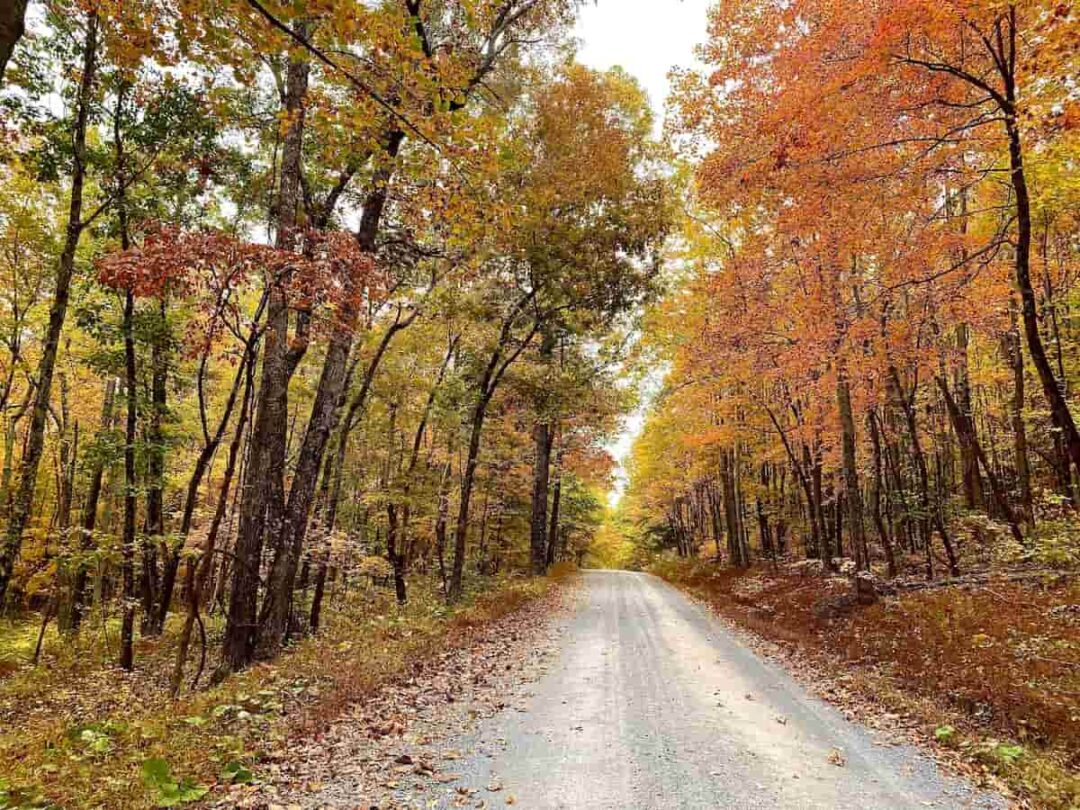George Washington National Forest Camping Guide - Beyond The Tent
