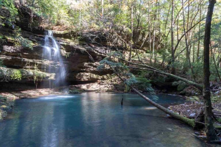 7 Hot Springs in Alabama You Need to See - Beyond The Tent