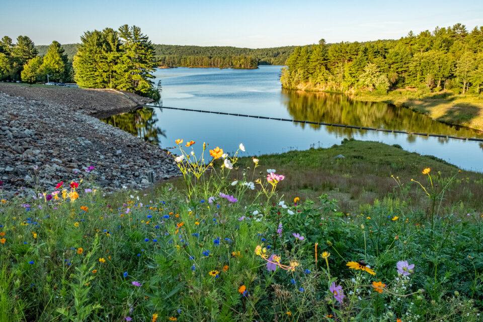 The Best Hiking In Massachusetts: Our Favorites Hikes - Beyond The Tent