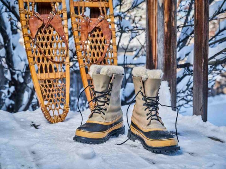 Walk the Walk: The 5 Best Boots for Snowshoeing - Beyond The Tent