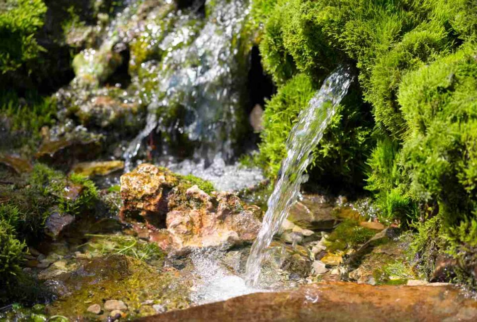 Are There Hot Springs in Maryland? A List of Hot and Natural Springs in ...