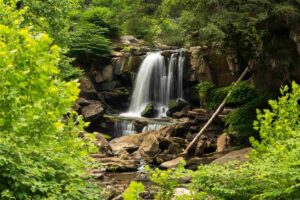 Are There Hot Springs in Maryland? A List of Hot and Natural Springs in ...