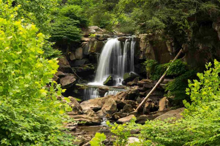 Are There Hot Springs in Maryland? A List of Hot and Natural Springs in ...