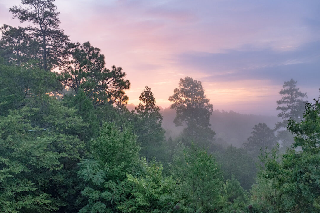 The Ultimate Guide to Free Camping in Alabama - Beyond The Tent