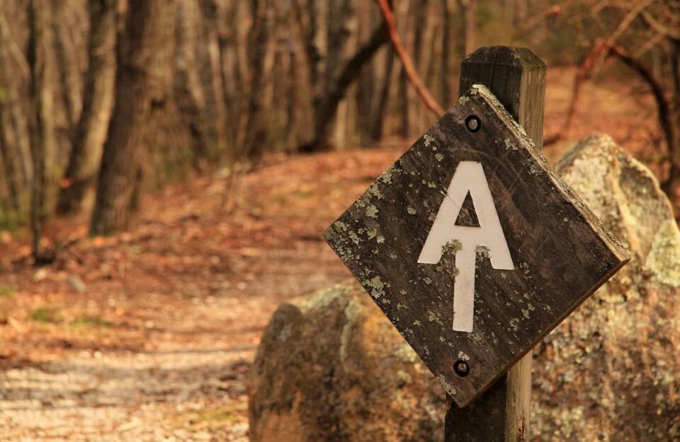 The 14 Best Spots for Primitive Camping in Virginia - Beyond The Tent