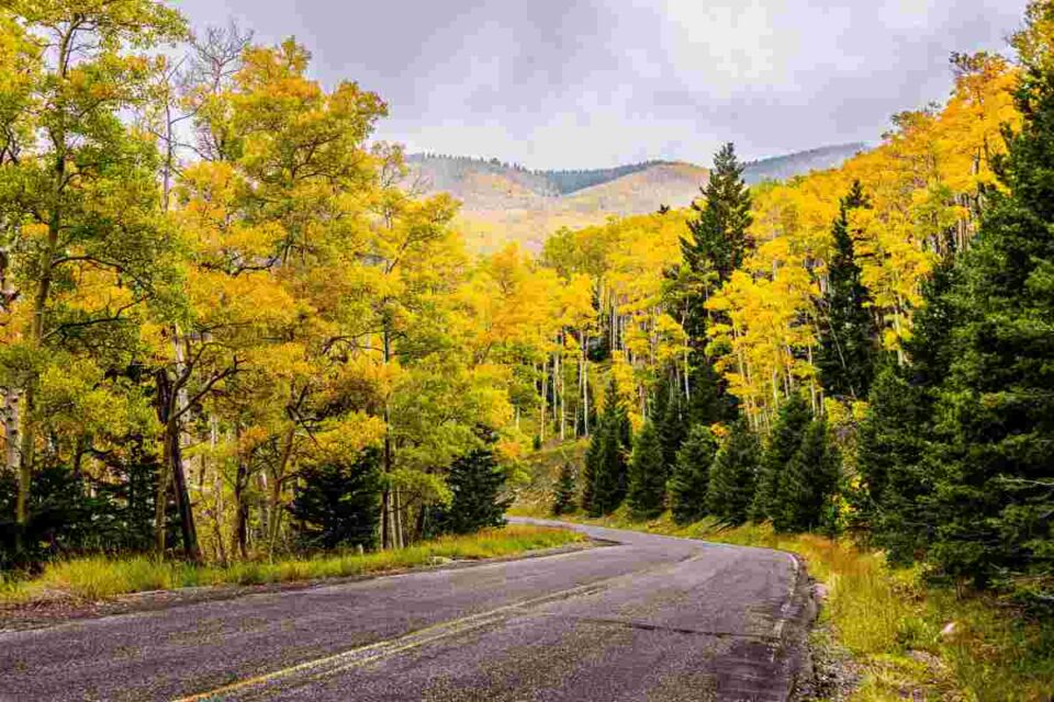 Santa Fe National Forest Camping - Beyond The Tent