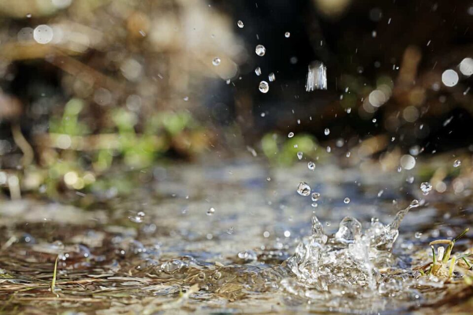 9 Natural Springs in Louisiana You Need to Visit - Beyond The Tent